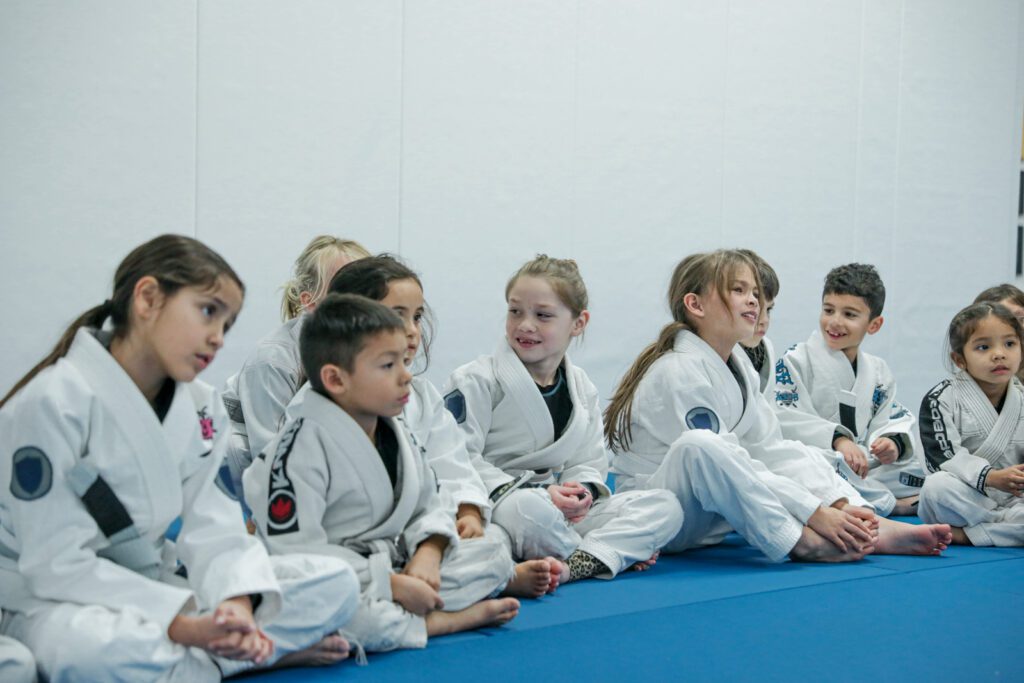 Brazilian Jiu Jitsu Program – Academy & online Training