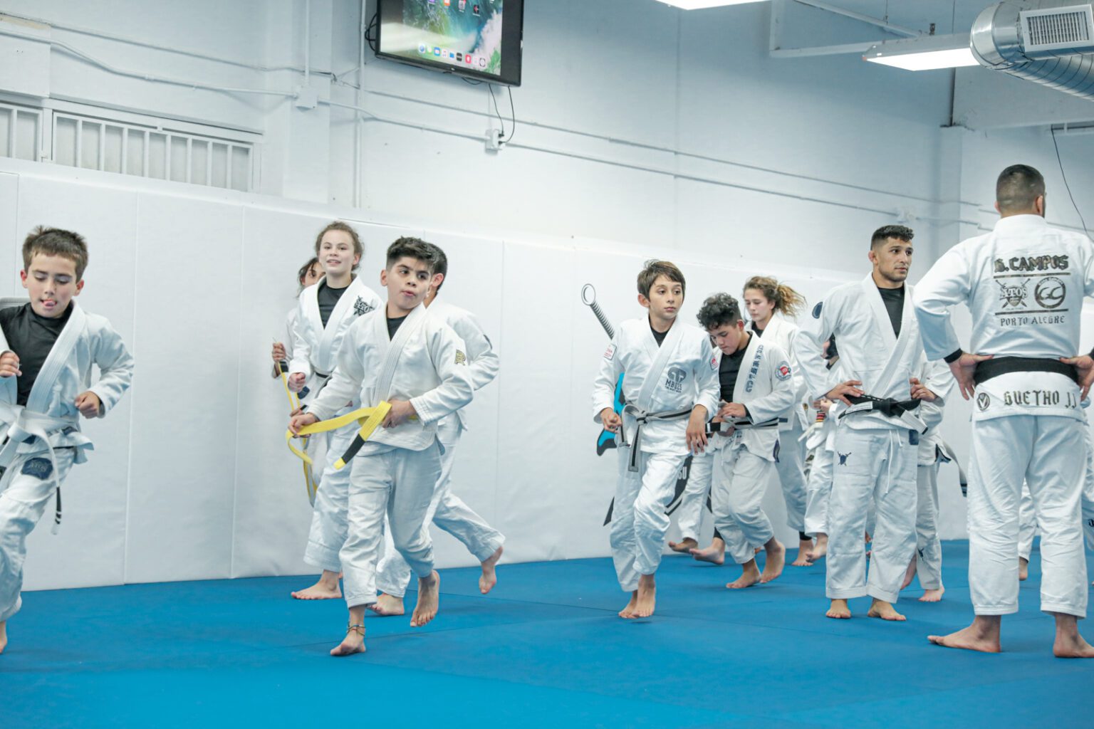 Brazilian Jiu Jitsu Program – Academy & online Training